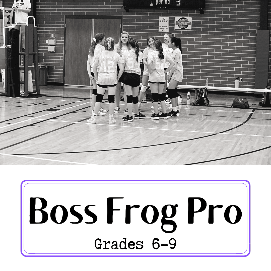 leagues - Spike Frog Volleyball